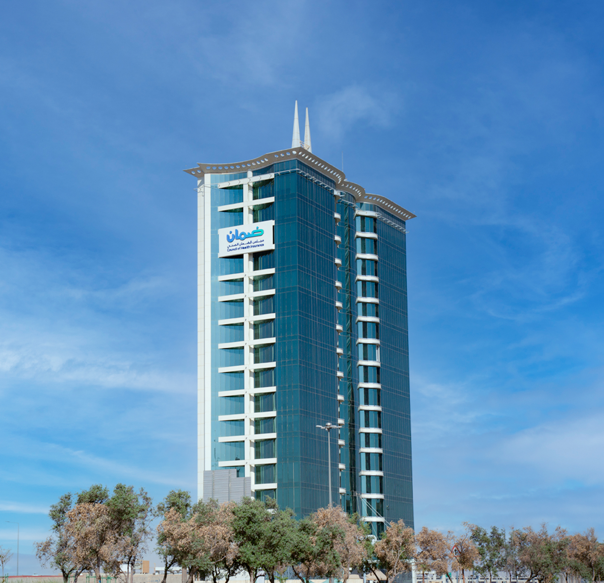 The Council of Health Insurance completes the first phase of linking to ...